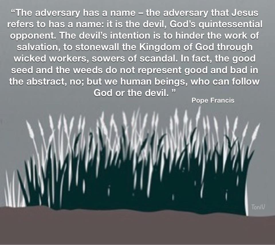 Don’t Be A Weed – Catholic Power House